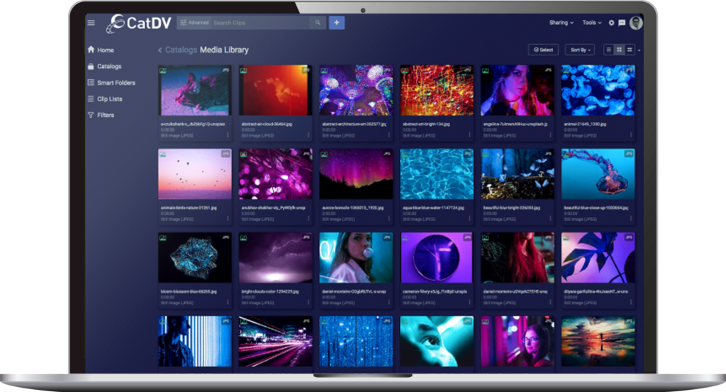 Quantum – Ordigraphe